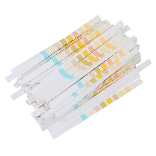 100X Urine Test Strip 10 Parameters Urinalysis Dip-Stick Testing Kit ...