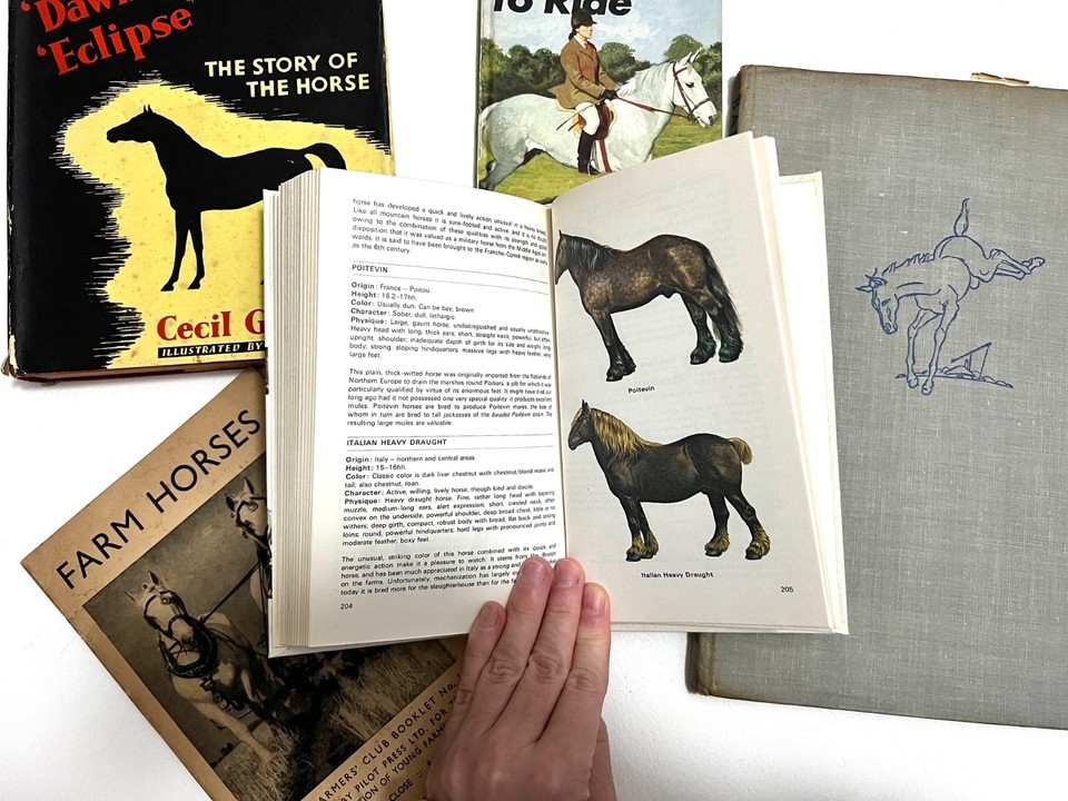 RARE VINTAGE HORSE BOOKS x 5 Illustrated (1939–1986) RIDING Breeds FARM ...