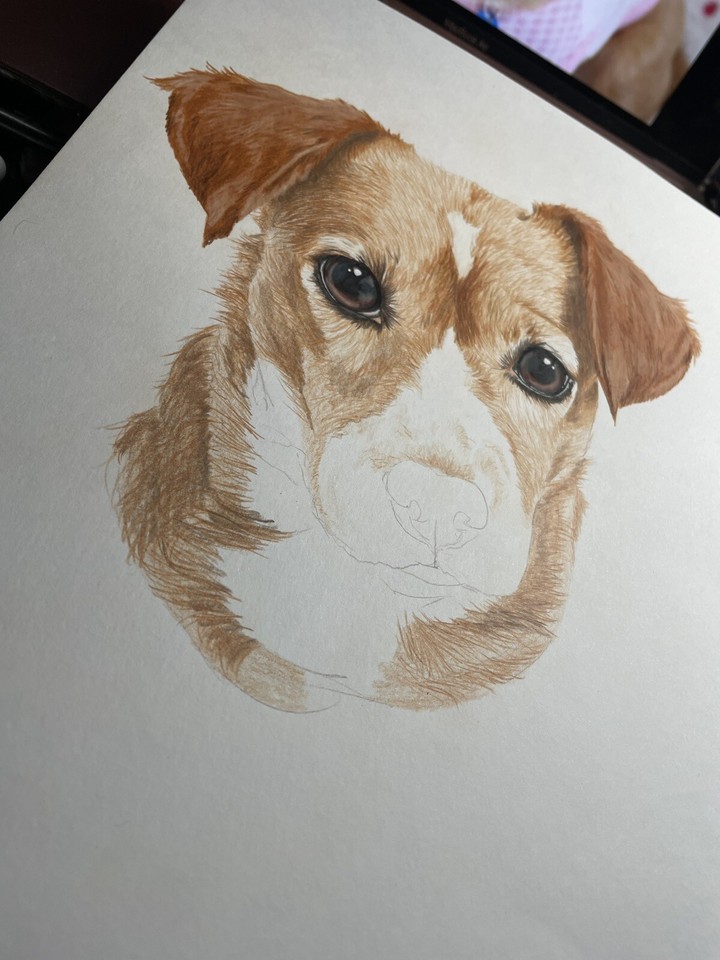 COA original art drawing Mixed Dog Portrait animal dog 8”x10”pet A4 ...