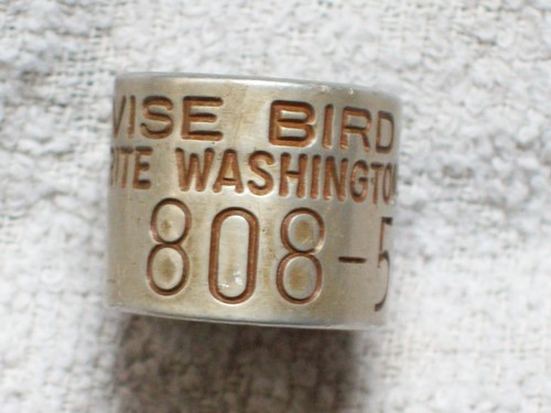 REPORTED AUTHENTIC GOOSE BAND w/ COA 1993 AVISE BIRD BAND WASHINGTON DC ...