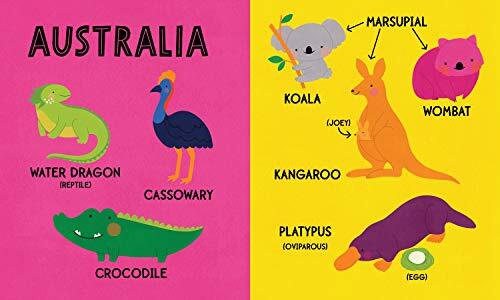 My First 100 Animal Words: Expand Vocabulary and Teach Babies and ...