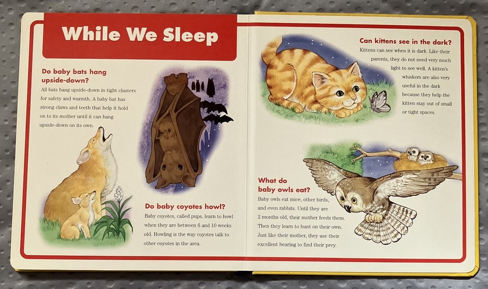 MY FIRST BIG BOOK OF QUESTIONS AND ANSWERS BABY ANIMALS By Lora Kalkman ...