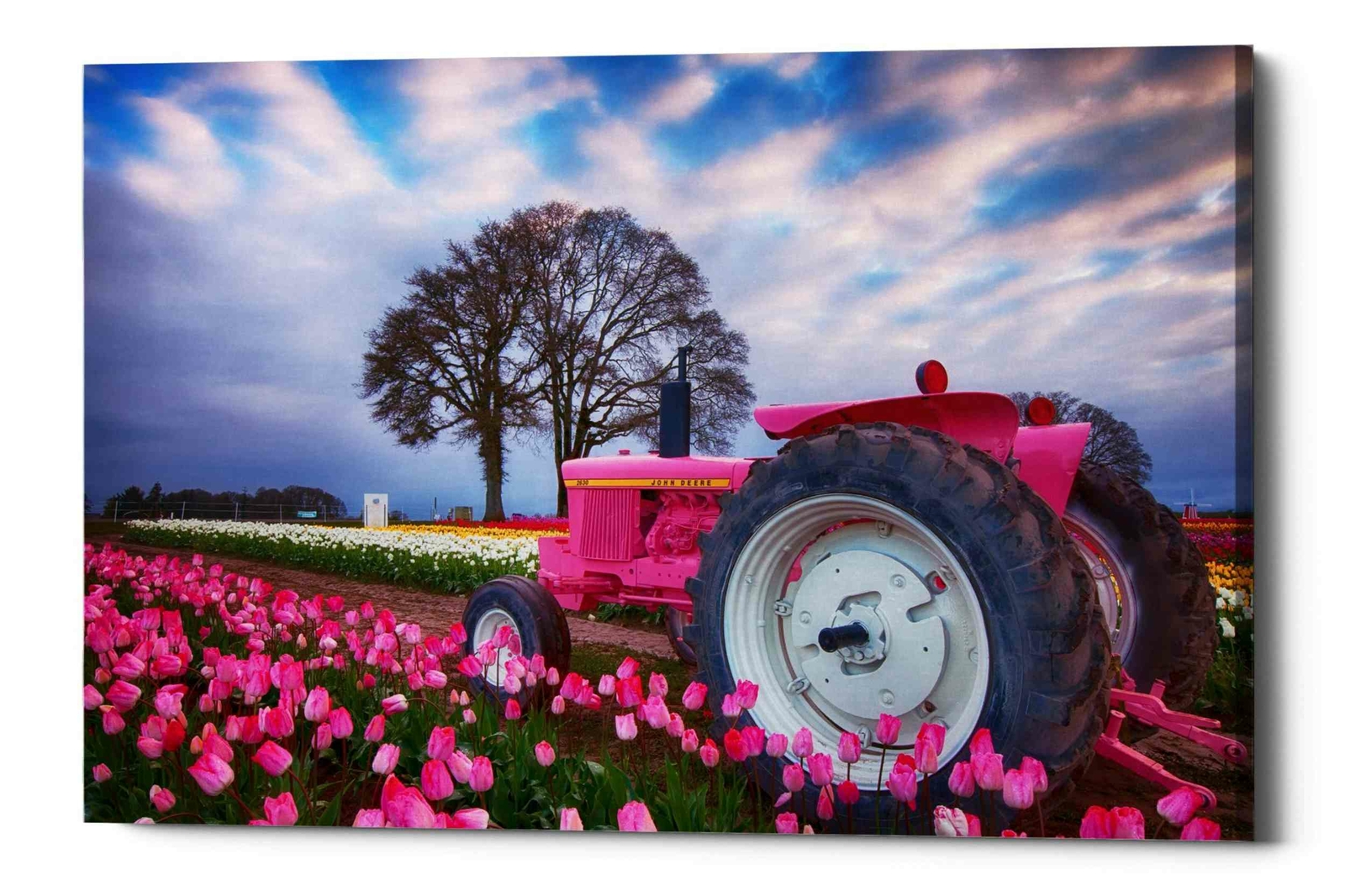 Epic Graffiti "Jane Deere" by Darren White, Giclee Canvas Wall Art | eBay