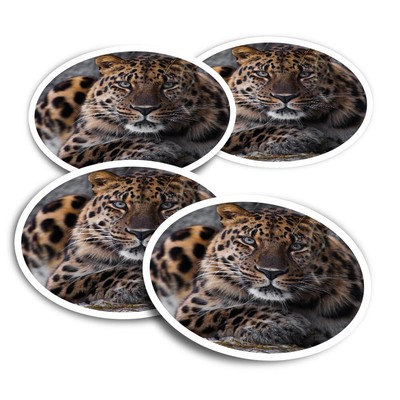 4x Vinyl Stickers Amur Leopard Big Cat Wild Animal #52601 | eBay UK