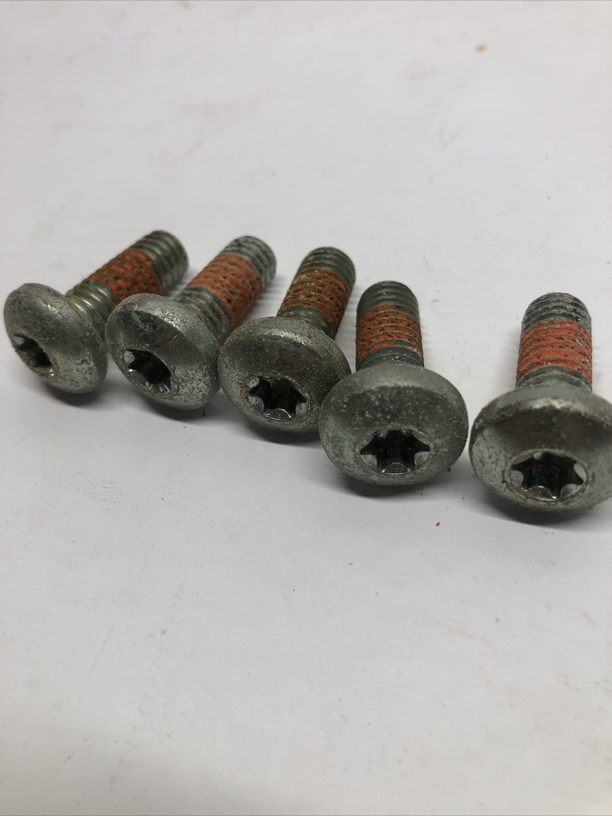 5 - Harley Davidson XL FXD FXR REAR SCREW ROTOR BOLT SCREW Robison HD ...