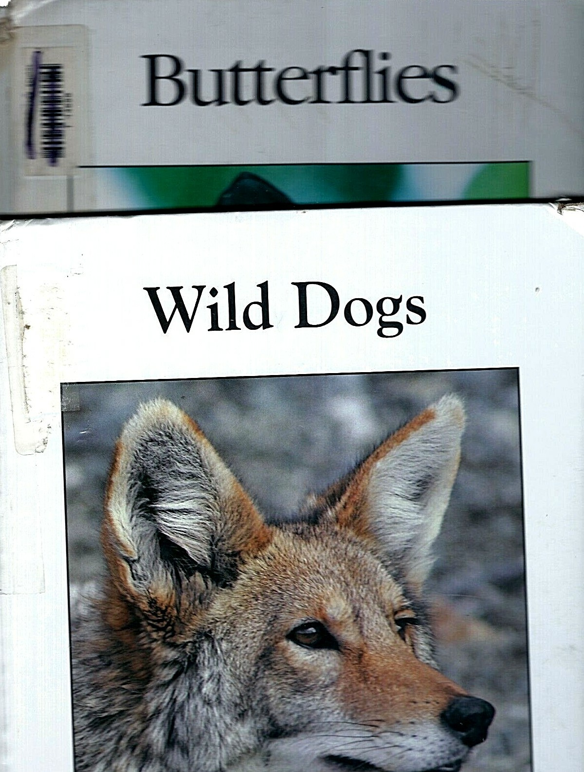 2 Zoobooks for Ages 9 - 12: Wild Dogs & Butterflies Wildlife Education ...