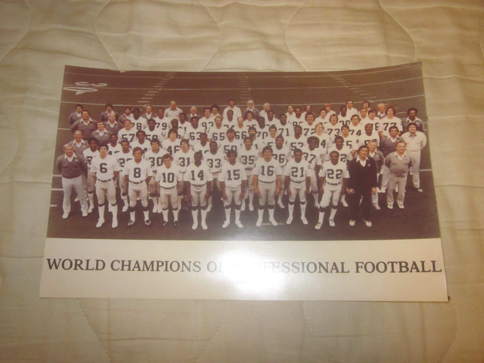 1981 Oakland Raiders NFL World Champions 8 1/2 X 13 1/2 Team Photo #1 ...