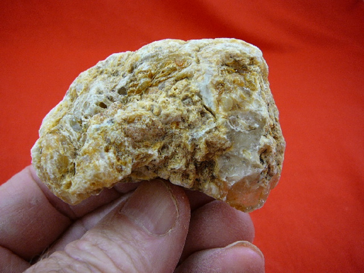 (k-3144) 40 g Rare Kauri tree Gum copal young Amber New Zealand Tane ...