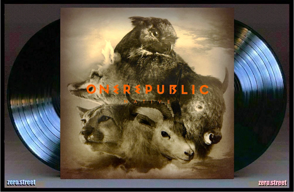 One Republic Album Native