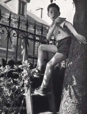 1950s Vintage Boy Scout Playing In Ladder And Tree Photo Gravure By M ...