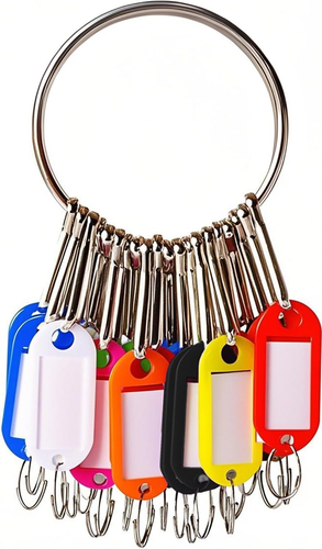 Portable Key Organizer, Key Organizer Keychain,30 Key Tags with Ring ...
