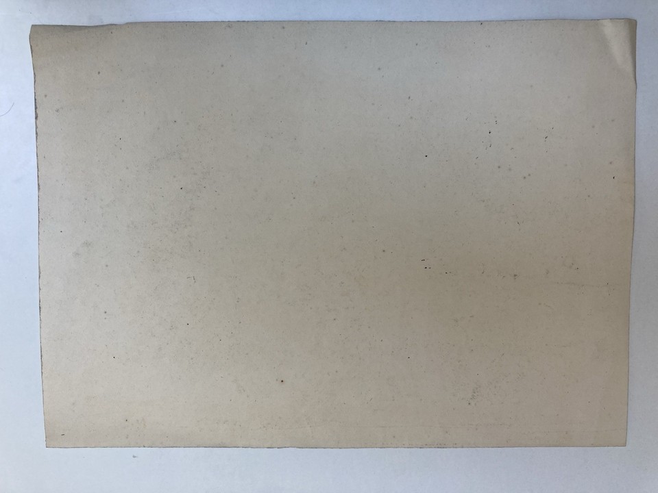 Beautiful Drawing Sea Beach to Identify Xixth Romanticism Tree ...