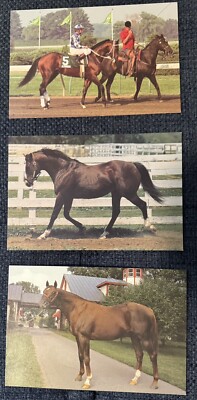 3 Post Cards: Horse Racing: Northern Dancer,Alydar,Alysheba | eBay