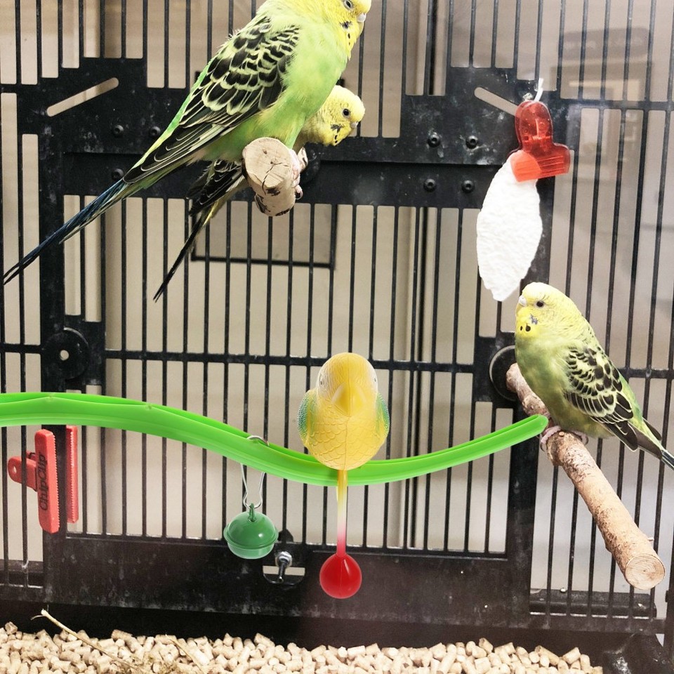 Plastic Bird Perch Toy Stand for Parakeet Parrot Cage Play and Exercise ...