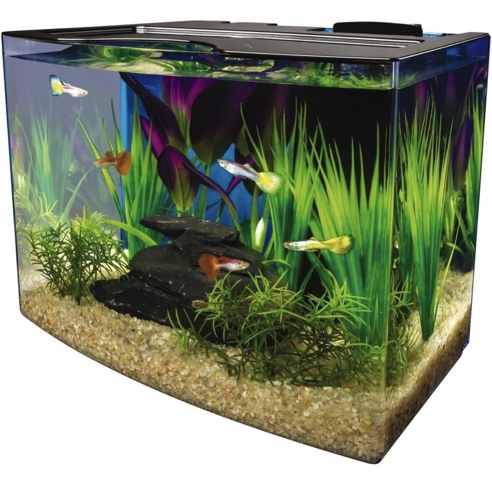 Marineland Nook 3 Aquarium Kit with Built-In LEDs and Hidden Filtration ...