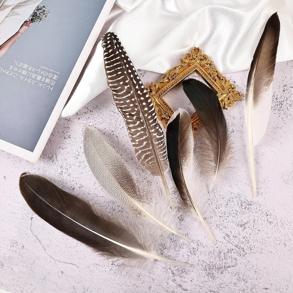 60Pcs Natural Pheasant Feathers Bulk Spotted Feathers 6 Styles Mixed ...
