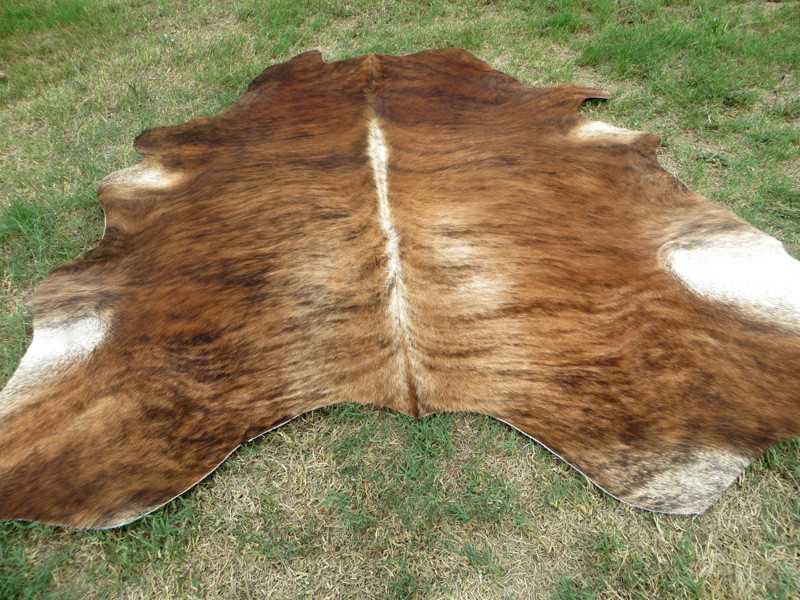 NEW LARGE BRINDLE brown Cowhide Rug natural Cowhides Cow Hide Skin 6X6 ...