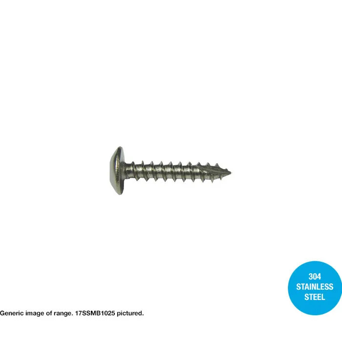 Security TORX Recess + pin Mushroom Head 304SS T17 Screw 10g x 25mm ...
