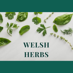 Welsh Herbs | Boutiques eBay
