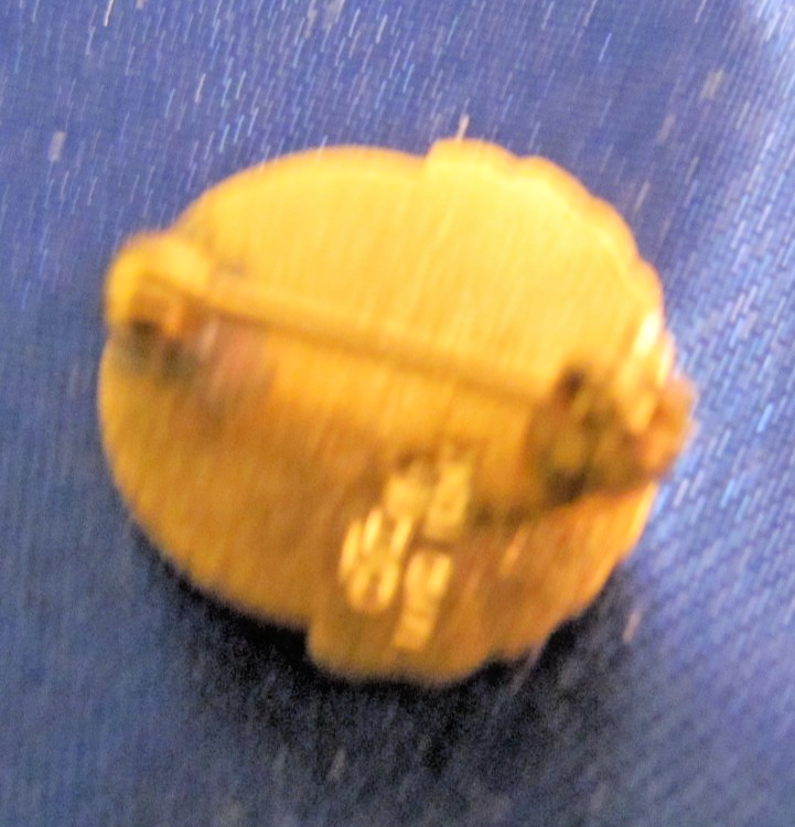 Pan American Airlines PAA 40 year service pin, high year, marked 1/10th ...