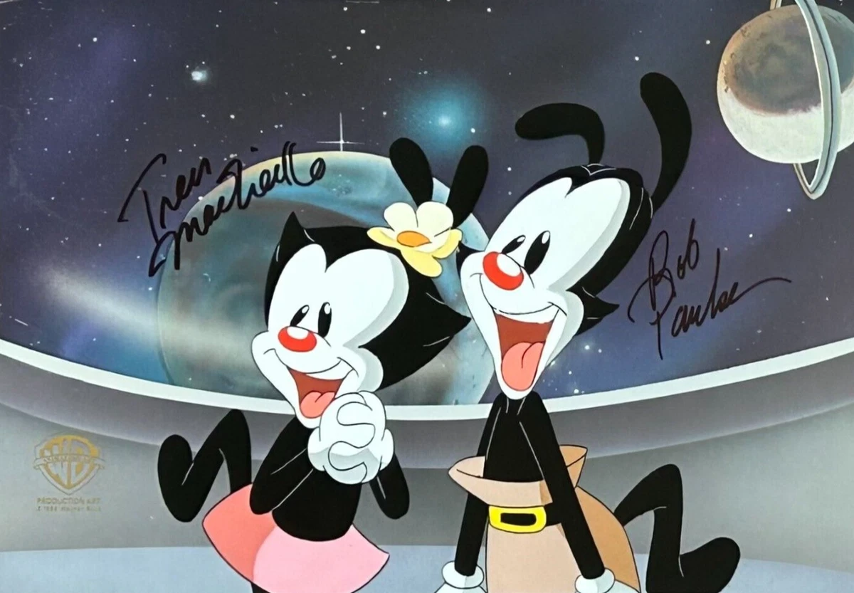 Animaniacs Yakko Wallpaper