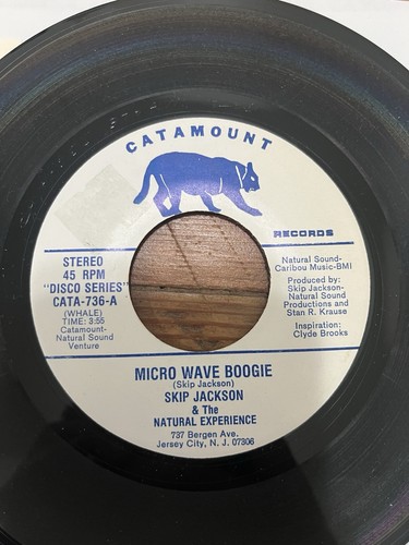 Skip Jackson & The natural Experience Micro Wave Boogie 45 7” Funk Soul ...