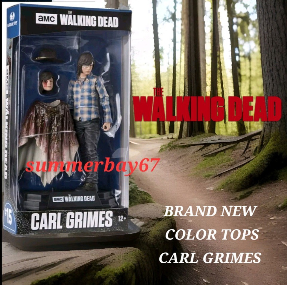 The Walking Dead Color Tops AMC The Carl Grimes Action Figure #15 ...