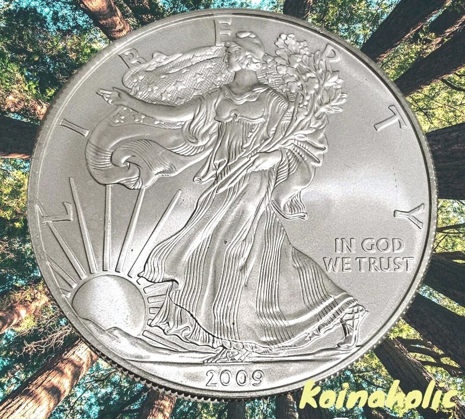 2009 $1 American Silver Eagle 1 oz Uncirculated Better Back Date | eBay