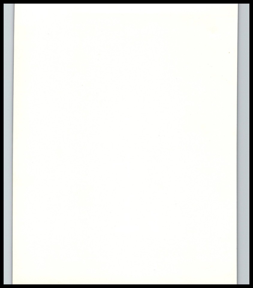 Hollywood Beauty BARBARA LANG LEGGY CHEESECAKE 1950s PORTRAIT Photo 705 ...