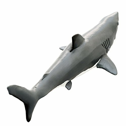 Favorite Great White Shark Vinyl Model Premium Edition (FM-351) | eBay