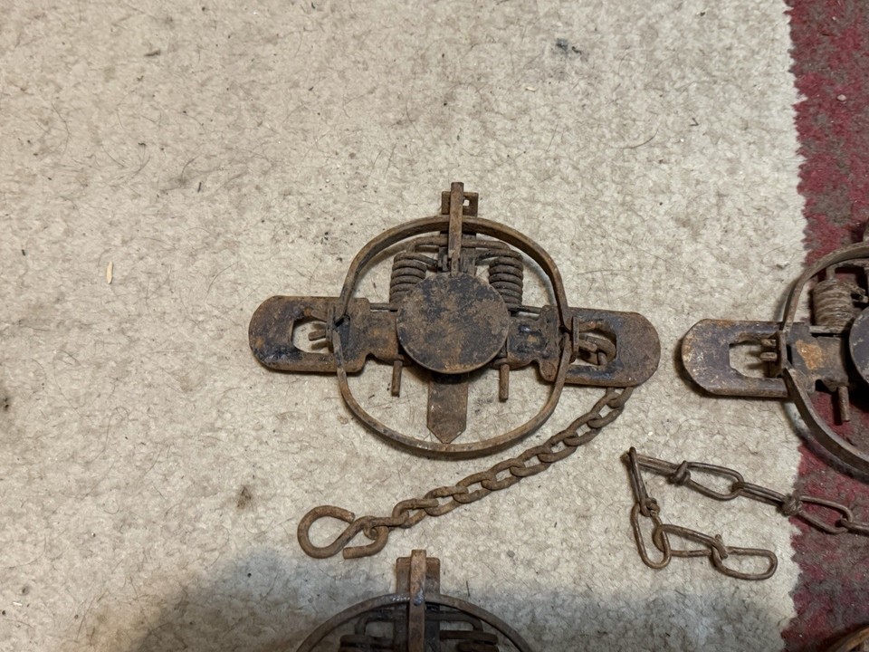 (6) Victor #1 1/2 Round Pan Coil Spring Traps Mink Raccoon Muskrat Fox ...