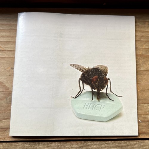 RED HOT CHILI PEPPERS SIGNED AUTOGRAPH CD COVER FLEA CHAD SMITH ANTHONY ...