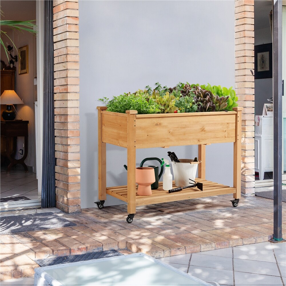 Hochbeet mit Rollen Pflanzkasten Blumenkübel Kräuterbeet Frühbeet Holz ...