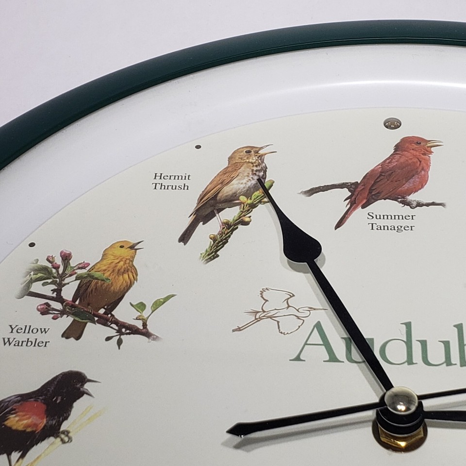 National Audubon Society 13" Bird Wall Clock Bird Songs on the Hour ...