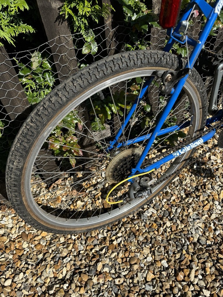 RALEIGH MOUNTAIN BIKE TEAM BICYCLE BIKE - 26" RIMS - 12 SPEED -53CM | eBay