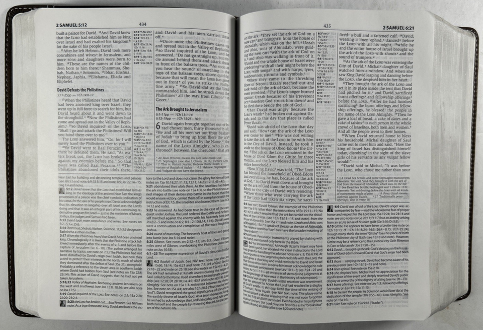 1984 NIV Study Bible Compact Brown Renaissance Leather Red Letter Clean ...