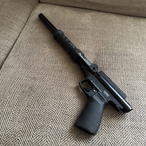 ACI Maverick Pump Paintball Gun Works | eBay