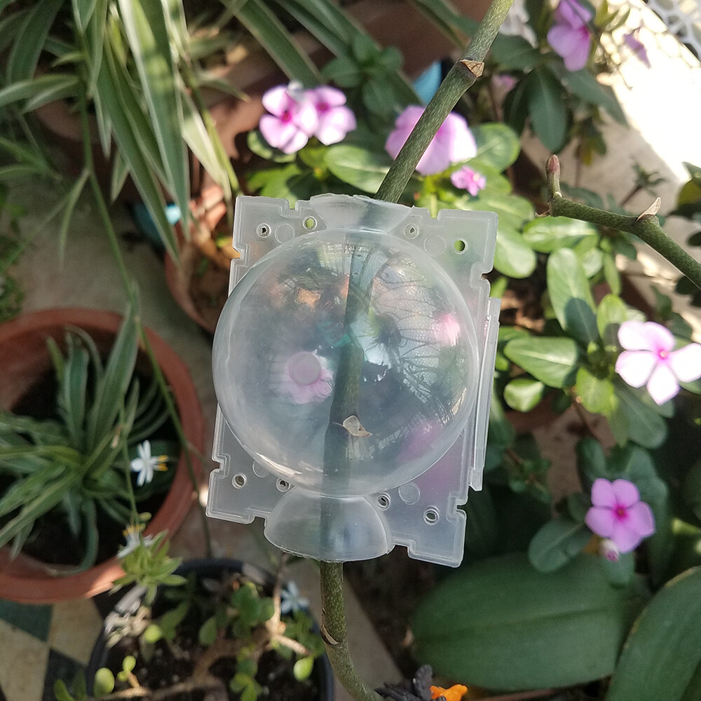 10Pcs Visible Plant Flower Root Graft Balls Clear High Pressure ...