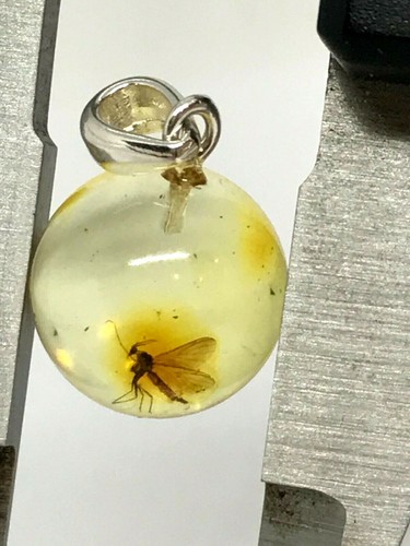 Baltic AMBER PENDANT INSECT Gift Insects Round Bead AMBER Silver 925 1 ...