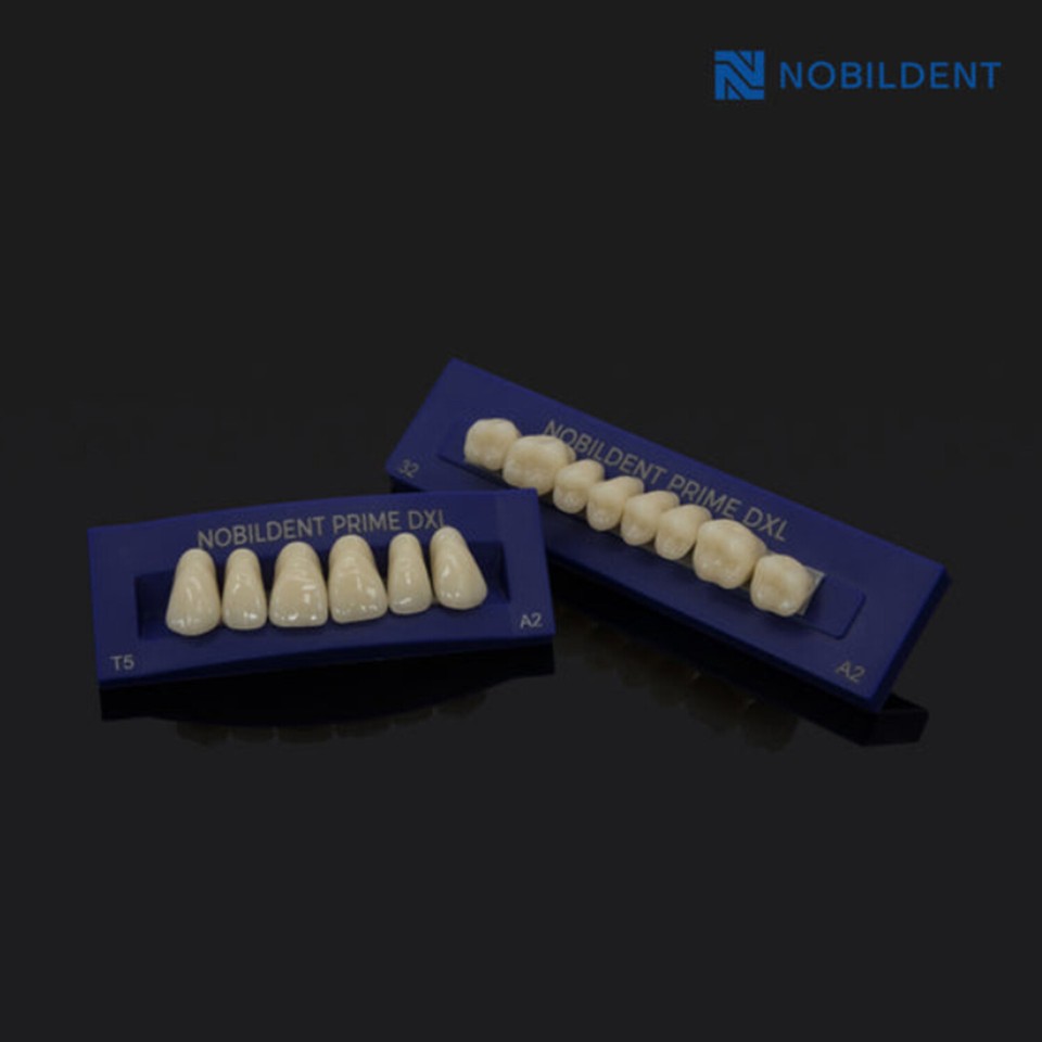 Prime Dental Acrylic Resin False Denture Teeth Upper/Maxillary Anterior ...
