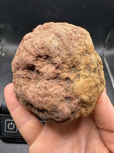 Rare Red Indiana Geode Agatized Fossil Crinoid Calyx Quartz Agate 3,785 ...