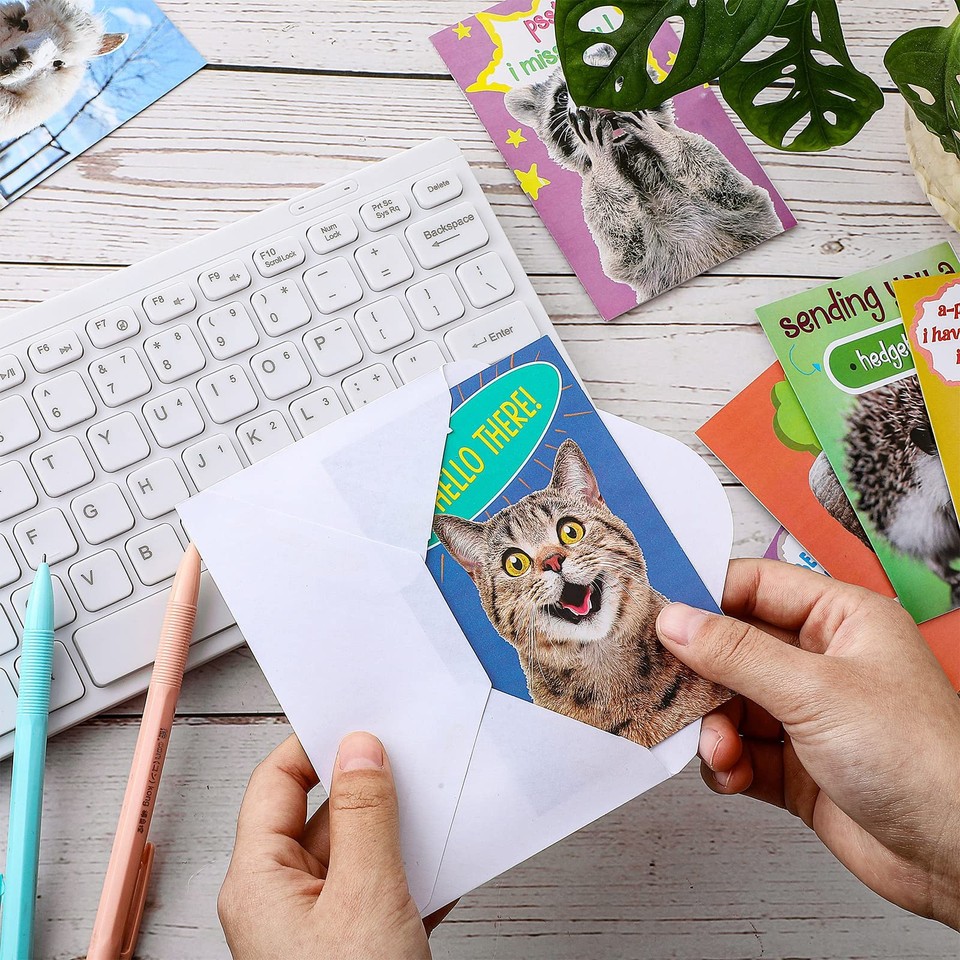 60 Set Funny Animal Greeting Cards Set with 3.58x5.1” Inches Envelopes ...
