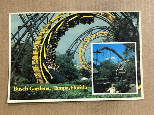 Postcard Python Rollercoaster Busch Gardens Tampa FL Florida Vintage PC ...