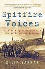 Spitfire Voices: Life as a Spitfire Pilot in the Words of the Veterans ...