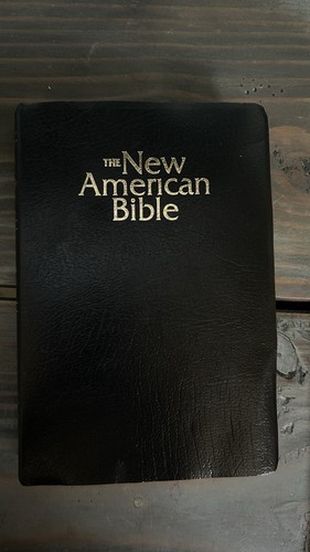 The New American Bible Official Catholic Bible Red Letter Edition GOOD ...