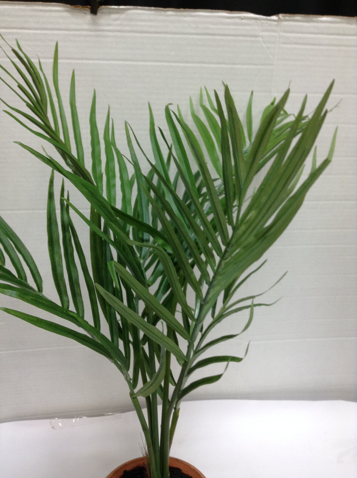 Pottery Barn Faux Potted Fishtail Palm Tree Decor Tropical Plant Leaves ...