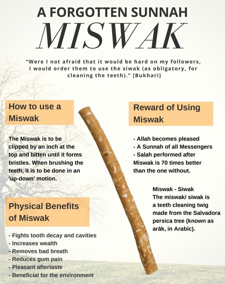 Herbal Natural Miswak Toothbrush Flavored Brush 100% Organic Tooth ...