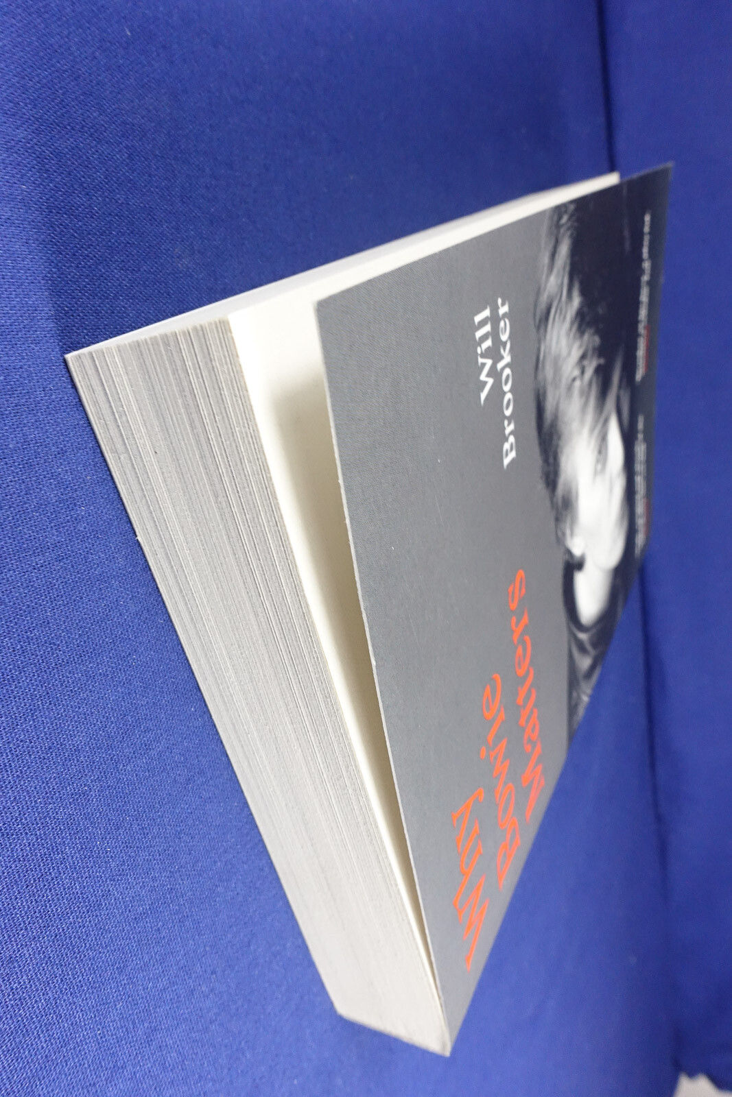 WHY BOWIE MATTERS Will Brooker DAVID BOWIE BOOK | eBay