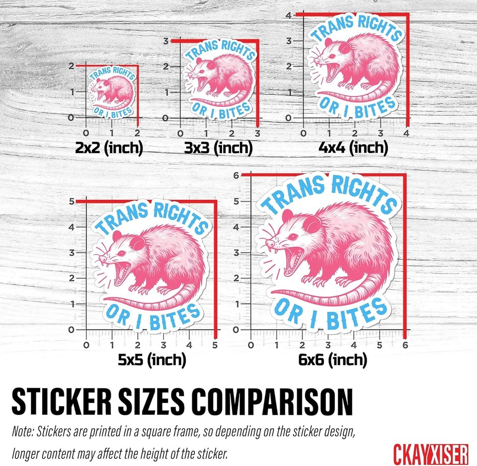 (3Pcs) Trans Rights Or I Bites Sticker Possum Stickers Feminist Liberal ...