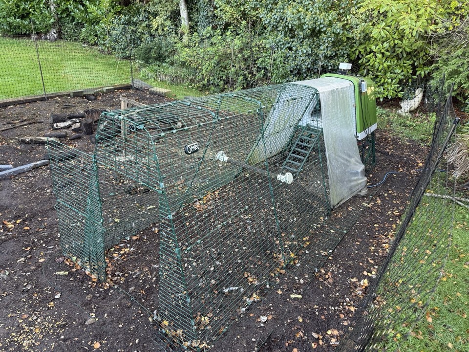 Eglu Go Up | eBay UK